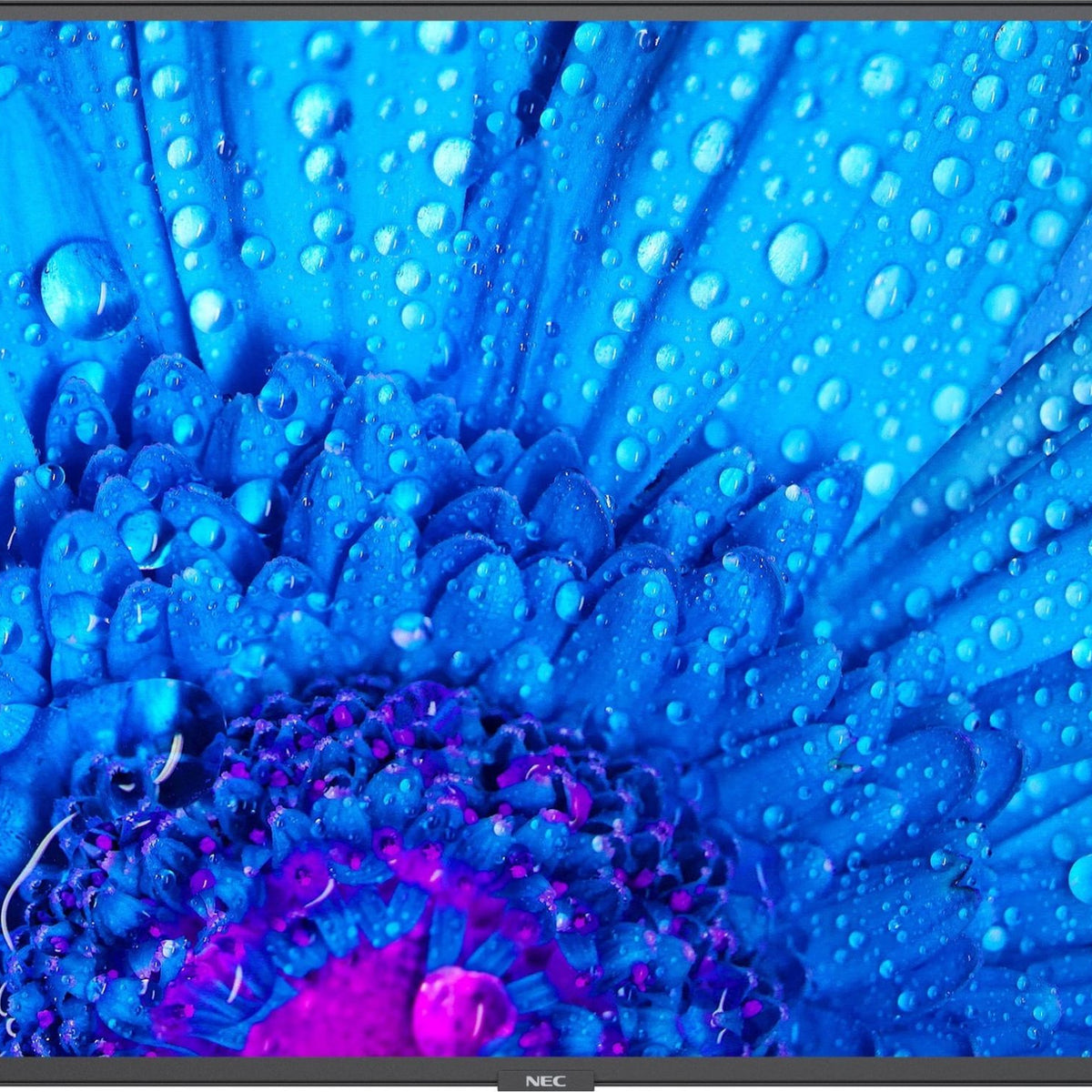 Nec M981 98 Large Lcd Format Display Officewonderland