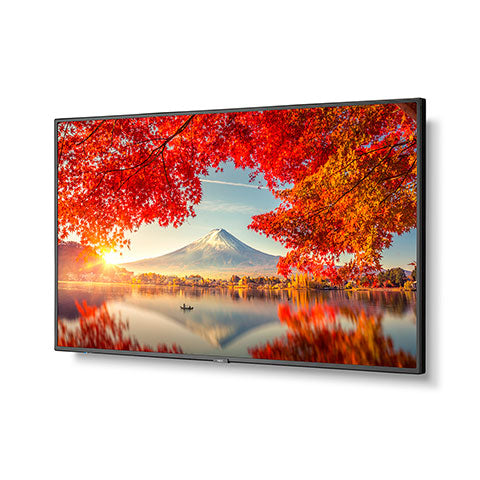 NEC MA551-PT 55" Wide Color Gamut Ultra High Definition Professional D ...