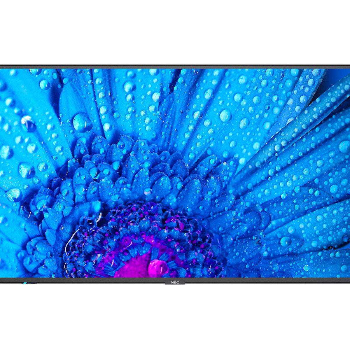 NEC M751 LED 75" 75" Ultra High Definition Professional Display ...