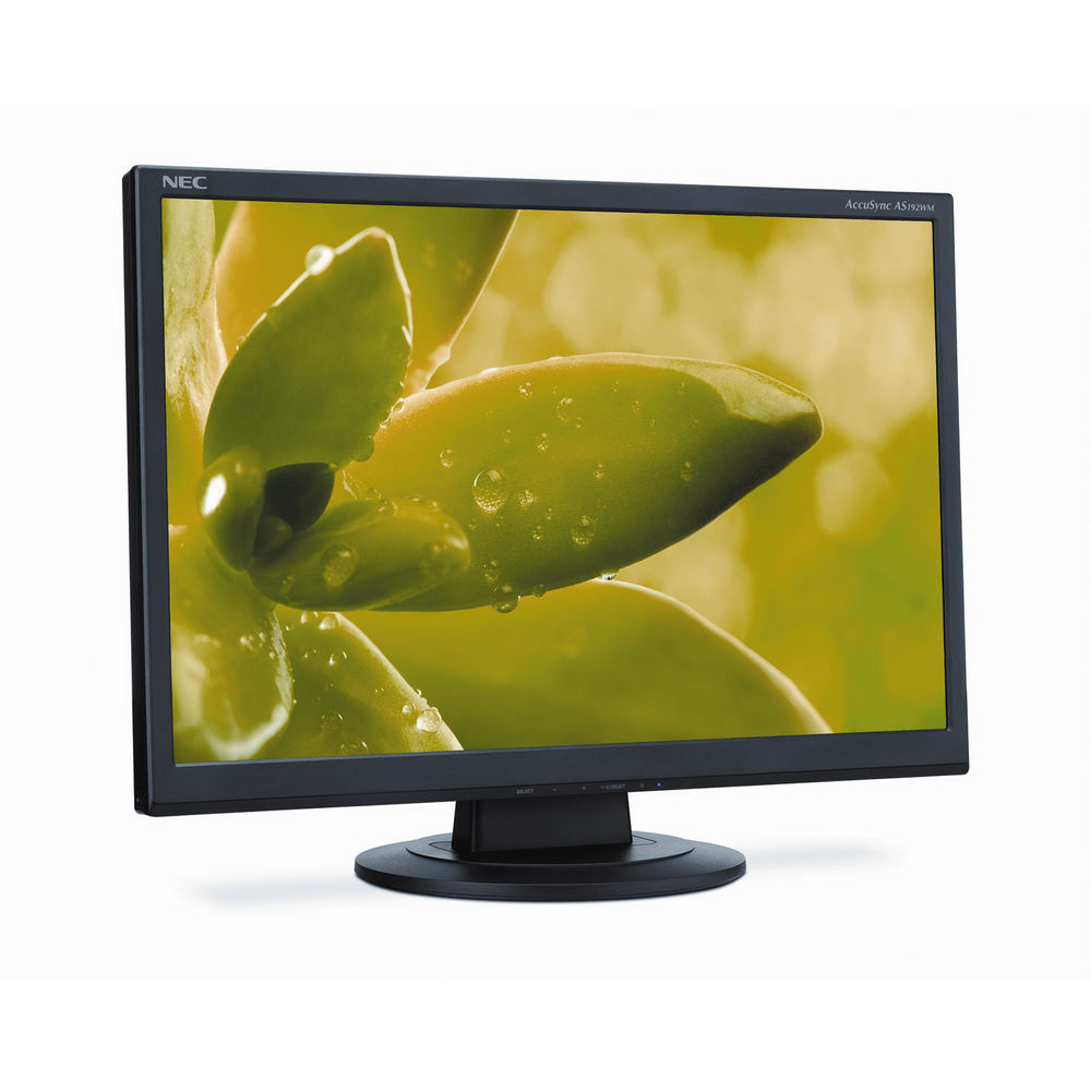 NEC AS192WM 19" Widescreen LED Backlit LCD Monitor – OfficeWonderland