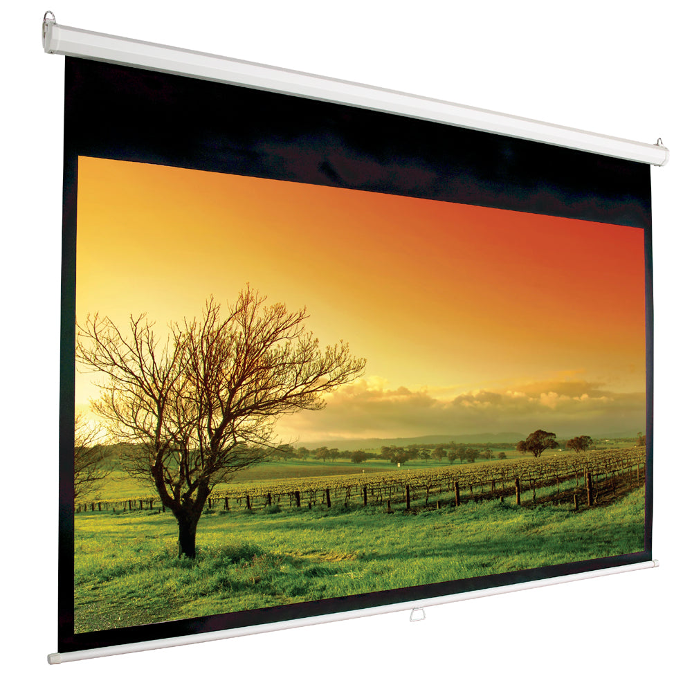 Mustang SC-M106D169 106" Manual Projection Screen – OfficeWonderland