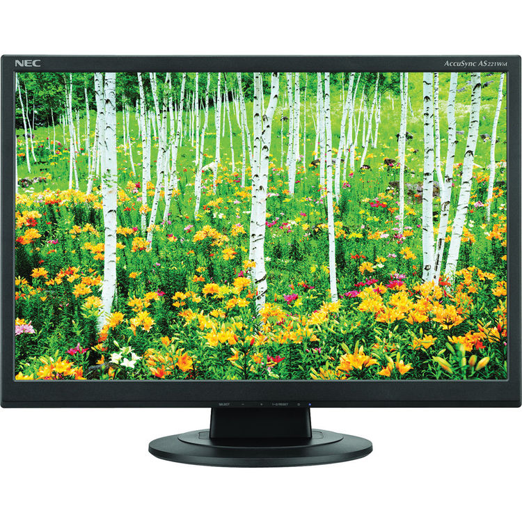 NEC AccuSync AS221WM-BK 22" LCD Widescreen Monitor – OfficeWonderland
