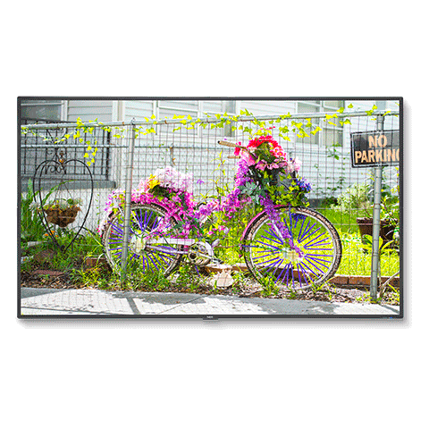 NEC C501 50" Thin-Depth Commercial Display – OfficeWonderland