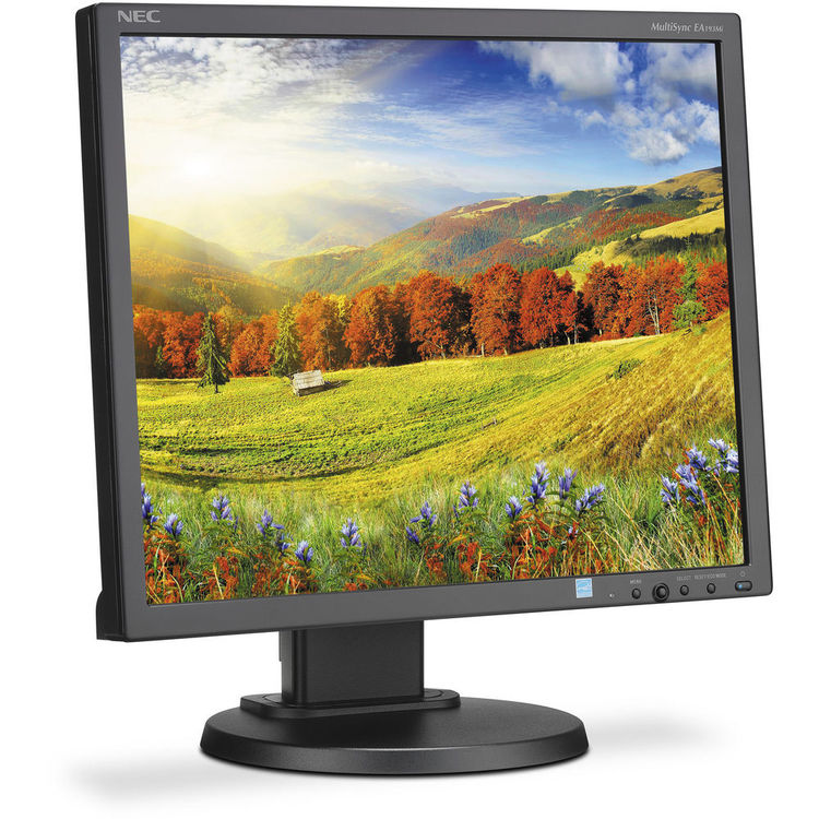 NEC EA193MI-BK 19" LED Backlit IPS LCD Monitor – OfficeWonderland