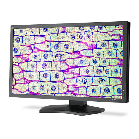 NEC MD322C8 31.5" Medical Diagnostic Display with LED Backlighting ...